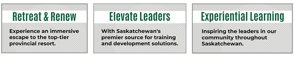 Effective Executive Leadership Program