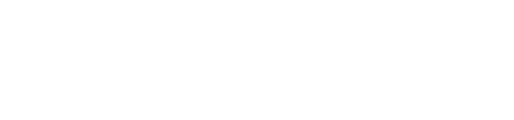 Fundamentals of Project Management