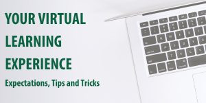 Your Virtual Learning Experience - Expectations, Tips and Tricks