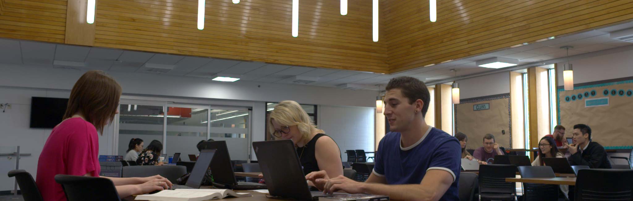 Master of Science in Management (MSc Mgmt)